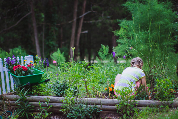 Summertime and The Living's Easy (In Your Own Backyard ...