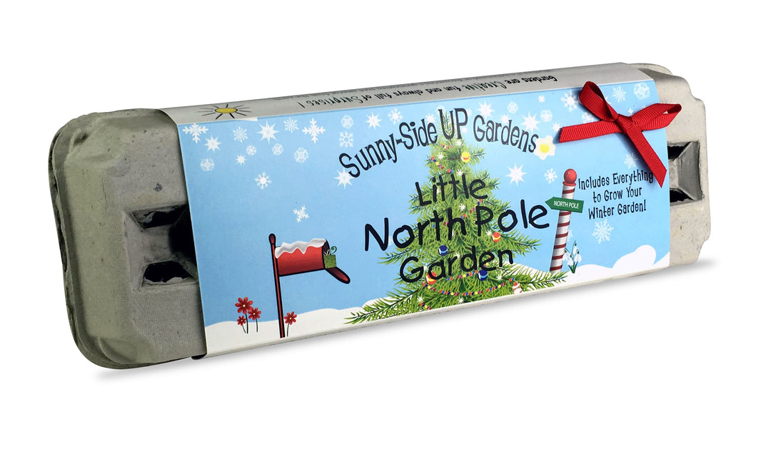 Little North Pole Garden – Backyardsafarico.com